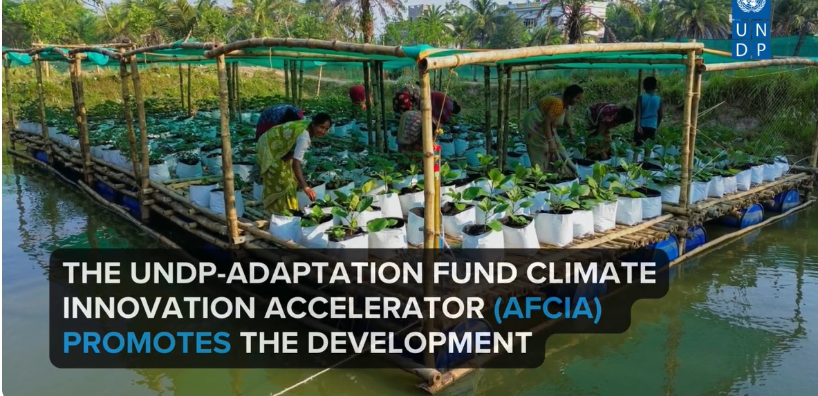 Introducing 22 new local partners under the Adaptation Fund Climate Innovation Accelerator ...